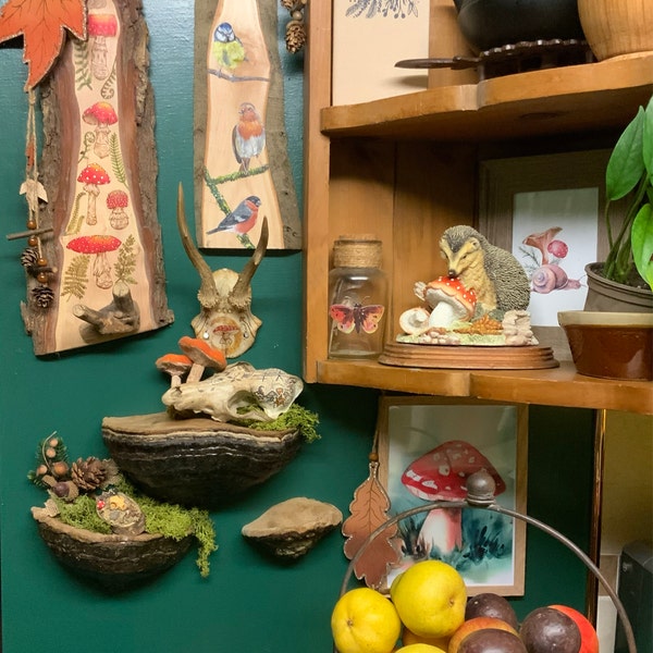 Rustic Mushroom Wall Shelf, Cottagecore Decor, Natural Forest Floating ...