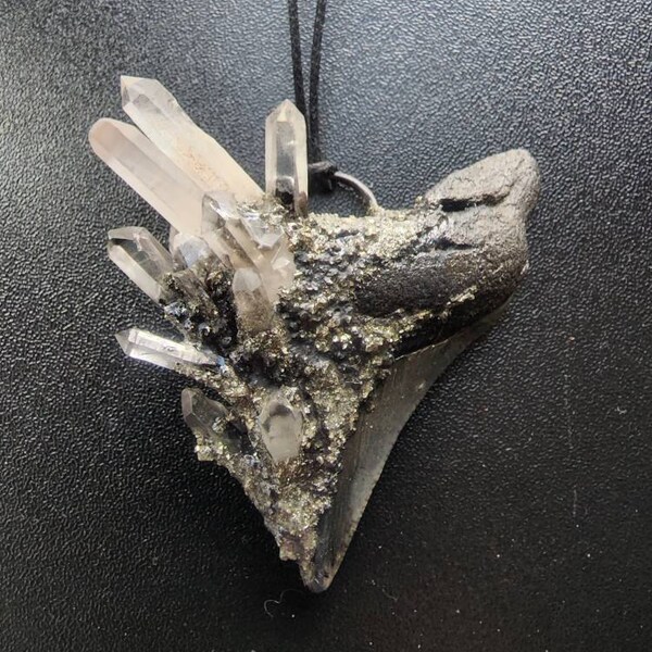 Bone Jewelry, Bone Ear Weights, Vertebrae, Vertebra, Gothic, Ear ...