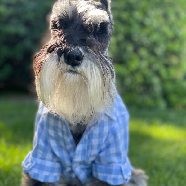 Plaid Dog Shirt, Fall Dog Shirt, Dressy Dog Shirt, Dog Clothes, Luxury ...