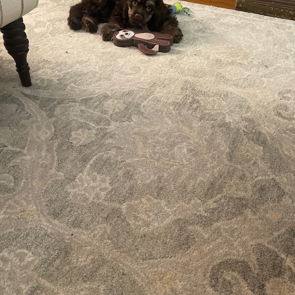 All-natural Water Buffalo Cheek Rolls for Dogs – Long Lasting Rawhide ...