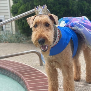 Star Spangled Girl Dog Harness Dress Xxsmall to 4xlarge Dog Dress, Dog ...