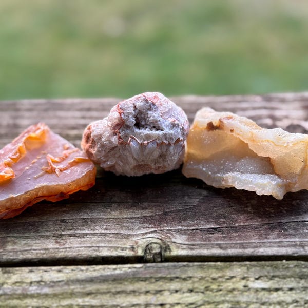 Extremely Rare Carnelian Tube Agate for Lapidary Slab Multy Colored Red ...