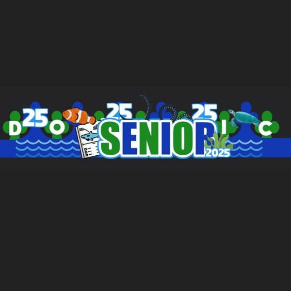 Senior Crown | High School Senior Crown| Custom Senior Crown | Class of ...