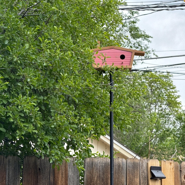 Birdhaus #06- the Jetson - 6 Color Options - Etsy