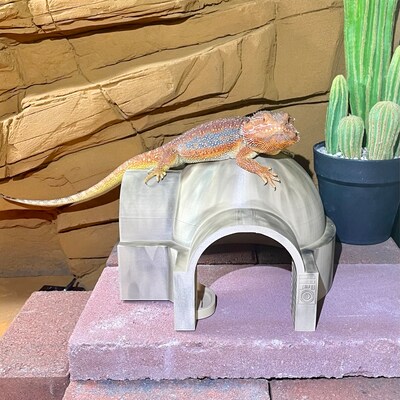 Tatooine Star Wars Style Hut Reptile Hide Large Wide Entrance for ...