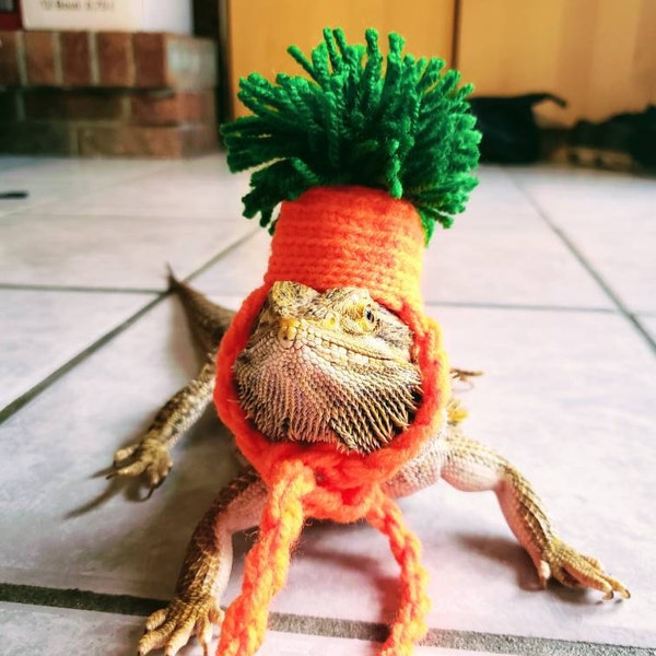 Tiny Reptile Hat, Hat for Hamster, Small Lizard Hat, Clothes for Pets ...