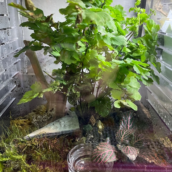 1980s TV Show Trading Cards Wax Packs, 80s Themed Dad Gifts, Vintage ...