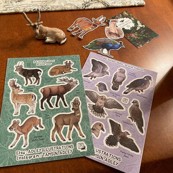 A6 Asian Jungle Sticker Sheet - Etsy