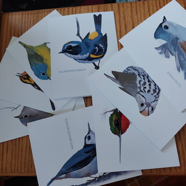Blank Note Card Set, Backyard Birds Collection #1 - Etsy