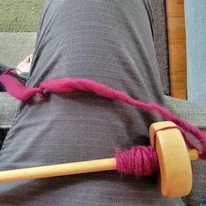 Indigofera Suffruticosa Seed Blue Guatamalan Indigo Anil - Etsy