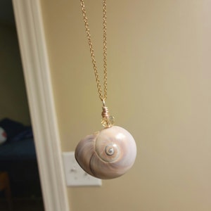 Real Seashell Necklace on Stainless Steel Chain. Scallop Shell Mermaid ...