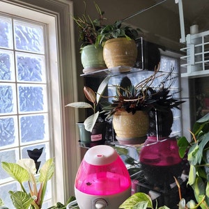 Suction Cup Window Planter Long Triangular Window Box Style | Etsy