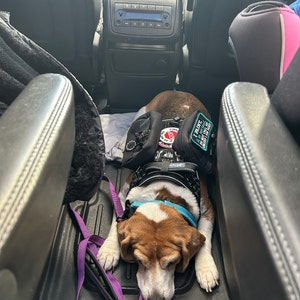 Do Not Pet Patch Do Not Distract Stop Sign Patch With VELCRO® - Etsy