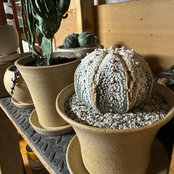Raw Speckled Clay Planters - Etsy