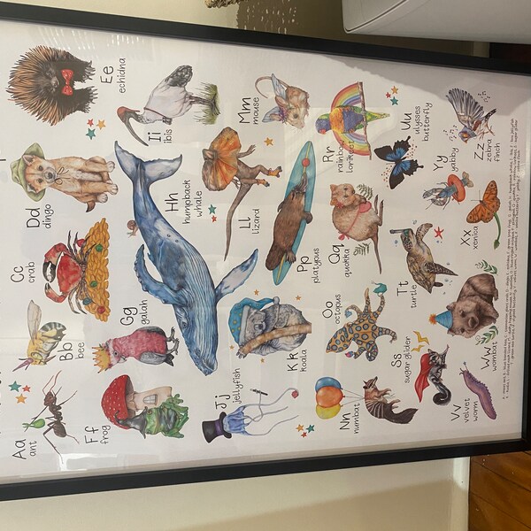 Australian Native Seed Pod Poster DIGITAL DOWNLOAD - Etsy