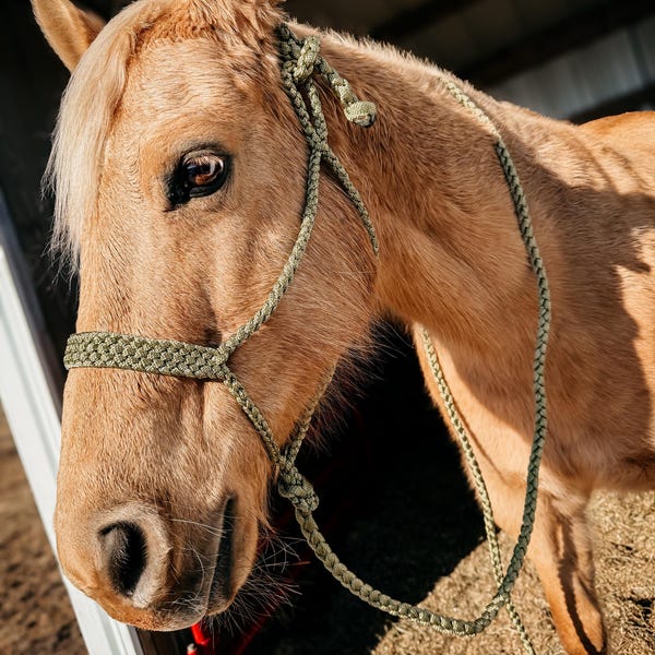 4-knot Rope Halter Only - Assorted Colors - Newborn/foal/mini/yearling ...