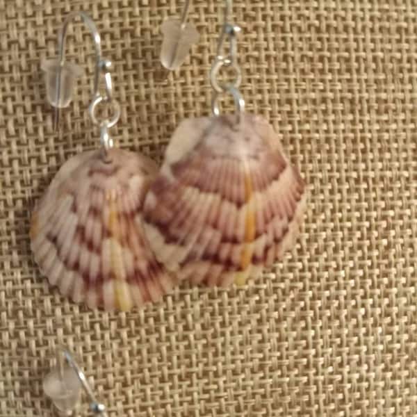 Seashell Frog With Fan, Frog Figurine, Seashell Art, Sanibel Island ...