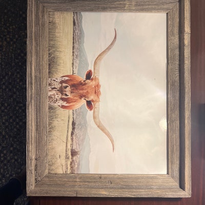 Longhorn Print, Longhorn Texas, Cow Print, Cow Poster, Horns Print ...