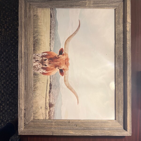 Longhorn Print, Longhorn Texas, Cow Print, Cow Poster, Horns Print ...