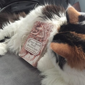 Creatures' Secrets Animal Divination Card Deck. Spirit / - Etsy Canada