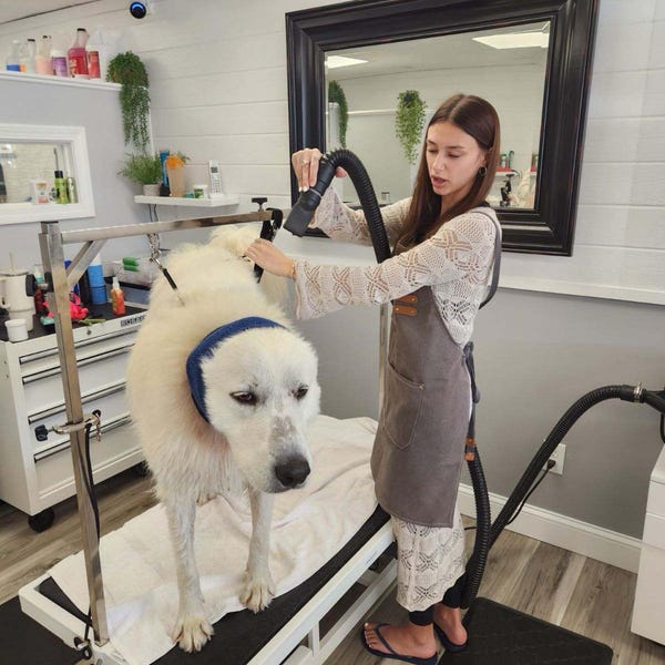 Waterproof Dog Groomer Apron for Pet Groomer Gift for Dog Groomer Gift ...