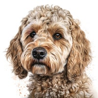 Cockapoo Clipart Watercolor 10 High Quality Jpg's Digital Download Wall ...