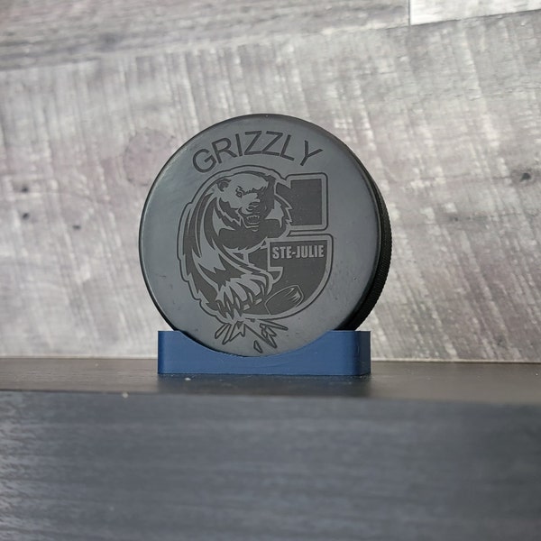 BIG CHAIN Sports Logo Necklace, Turn Over Chain, Player of the Game ...