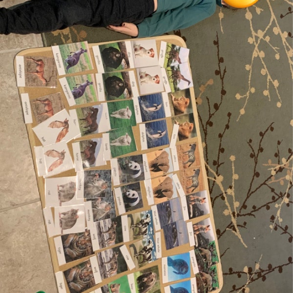 MAMMAL ANIMALS • 28 Editable Montessori Cards • Flash Cards ...