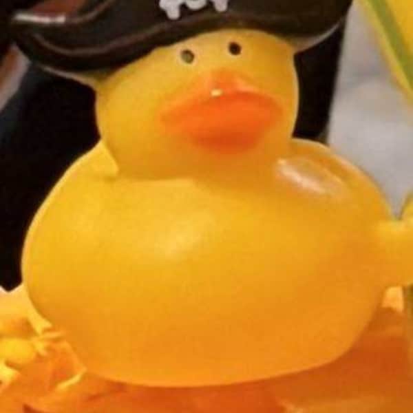 Otter Rubber Ducky Cruise Ducks Kids Bath Toy Stress Relief Debugging ...