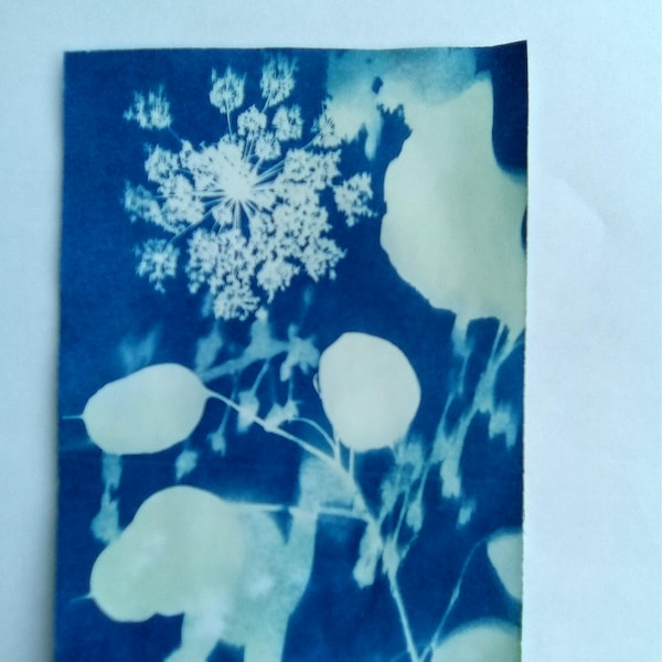 Cyanotype Template , Choose Your Stencil Kit , Solar Printing Stencil ...