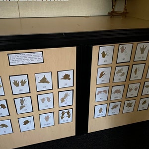 ASL Emotion Flashcards, Sign Language Feelings Flash Cards, Montessori ...