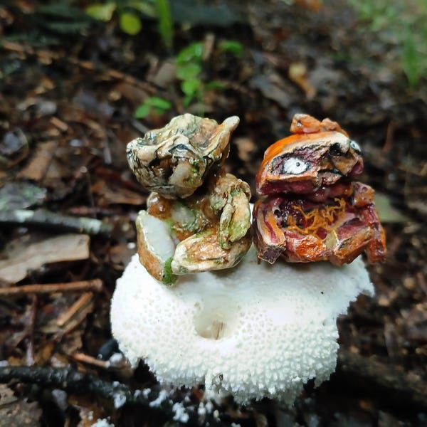 Rocklin, Handmade Rock Goblin Creature - Whimsical Stone Art. - Etsy