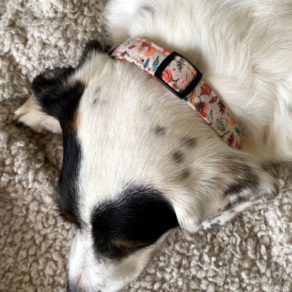 Fall Dog Collar, Autumn Dog Collar, Pumpkin Dog Collar, Embroidered Dog ...