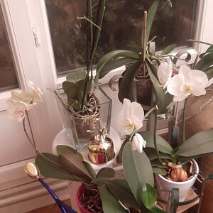 PKS Copper Pickaxe phoenix Copper Garden Tool - Etsy