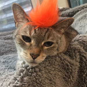 Cat Mohawk - Etsy
