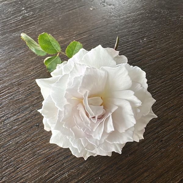 Rose M-perzik US Seller 佩尔朱克 1 Gallon - Etsy