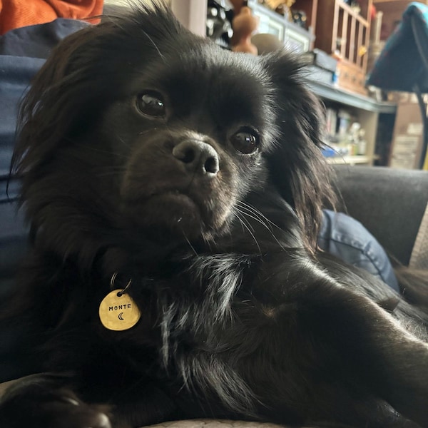 NICO Small: Luxury Hand Stamped Personalized Custom Pet ID Tags for ...