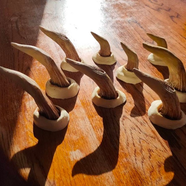 Akul Teeth Headdress for Ahsoka, Togruta, Etc - Etsy