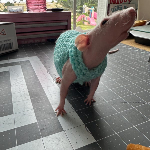 Rat Sweater for Rat Crochet Sweater for Small Pet Sweater for Fancy Rat ...