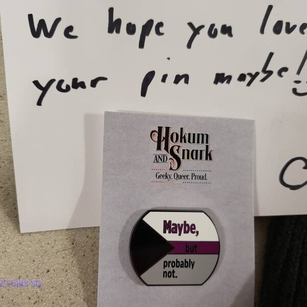 Maybe but Probably Not Gray Ace Demi Pride Enamel Pin in Demisexual ...