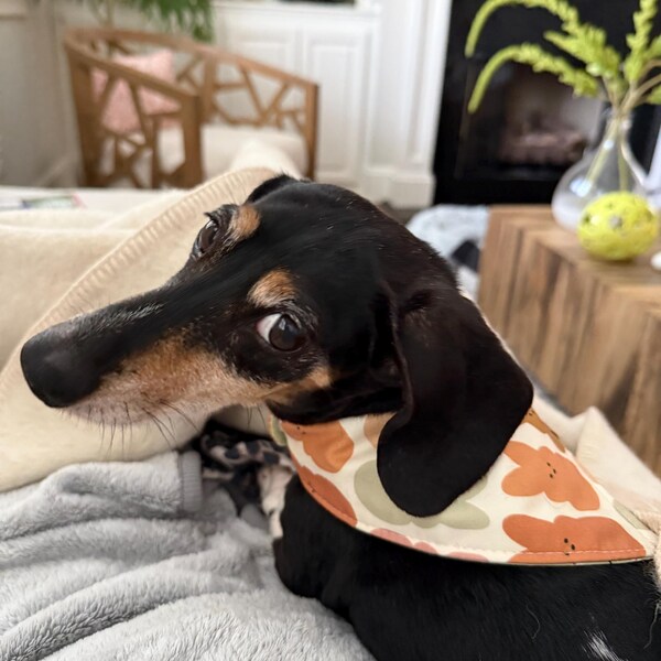 St Patricks Day Dog Bandana Clover Dog Bandana Green Dog Shamrock ...