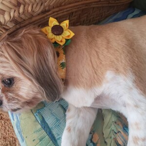 Dog Collar Sunflower Sunflower Dog Collar Collar With Bow - Etsy