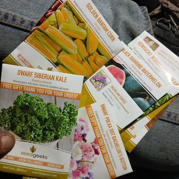 Calendula Officinalis, Fancy Mix Heirloom Seeds, Flower Seeds - Etsy