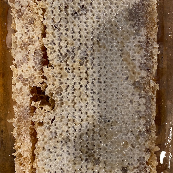 Raw Honeycomb 2024 (full Frame) 4 Lb 6 Oz | Wildflower Honeycomb | Pure ...