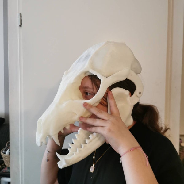 Anteater Fursuit Head-base With Movable Jaw and Eye Lids High Quality ...