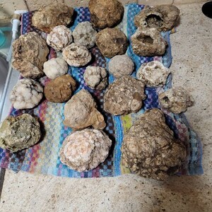 8lbs of Carthage TN Unopened Geodes/agates/nodules Lapidary Break or ...