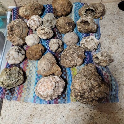 8lbs of Carthage TN Unopened Geodes/agates/nodules Lapidary Break or ...