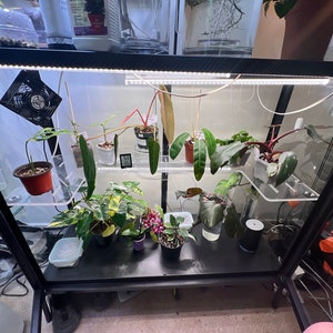 Acrylic Milsbo Wide 3/8 Shelves, Ikea Greenhouse - Etsy