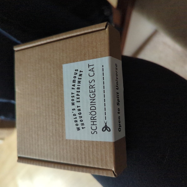 Schrodinger's Cat in a Box - Enamel Pin- Physics, College, Science ...
