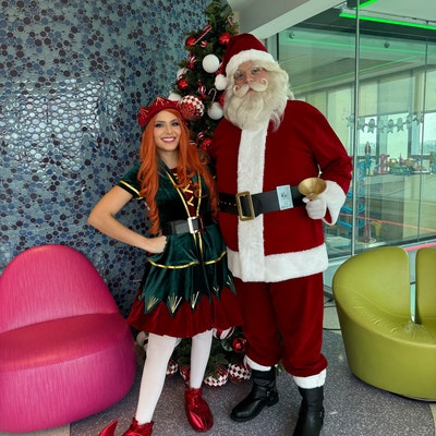 Cindy Christmas Grouch Girl Costume Wig Who Adult New Cosplay Christmas ...